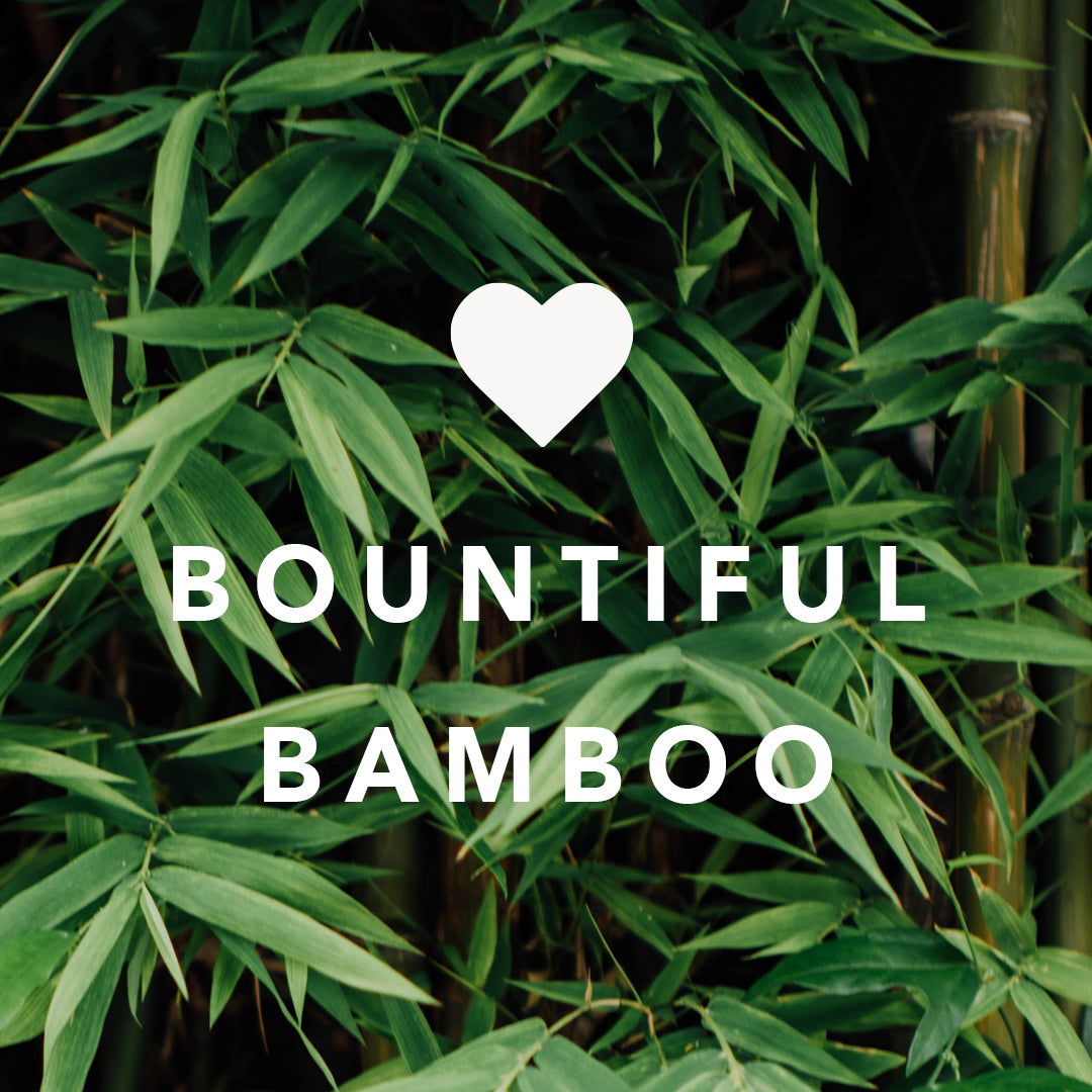 Bountiful Bamboo: The Uses and Benefits of This Eco-Friendly Plant ...